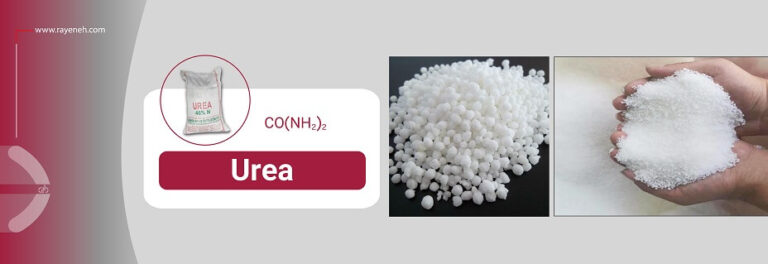 Urea » Rayeneh Group