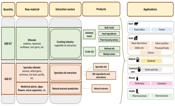 Hexane Overview [Applications and Risks] | Rayeneh Group